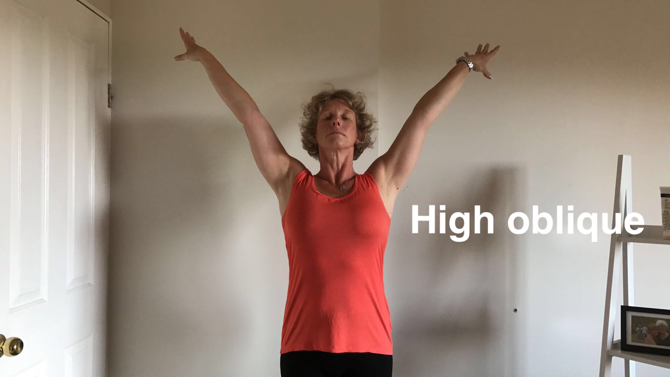 Arms high oblique | GymnasticsNZ