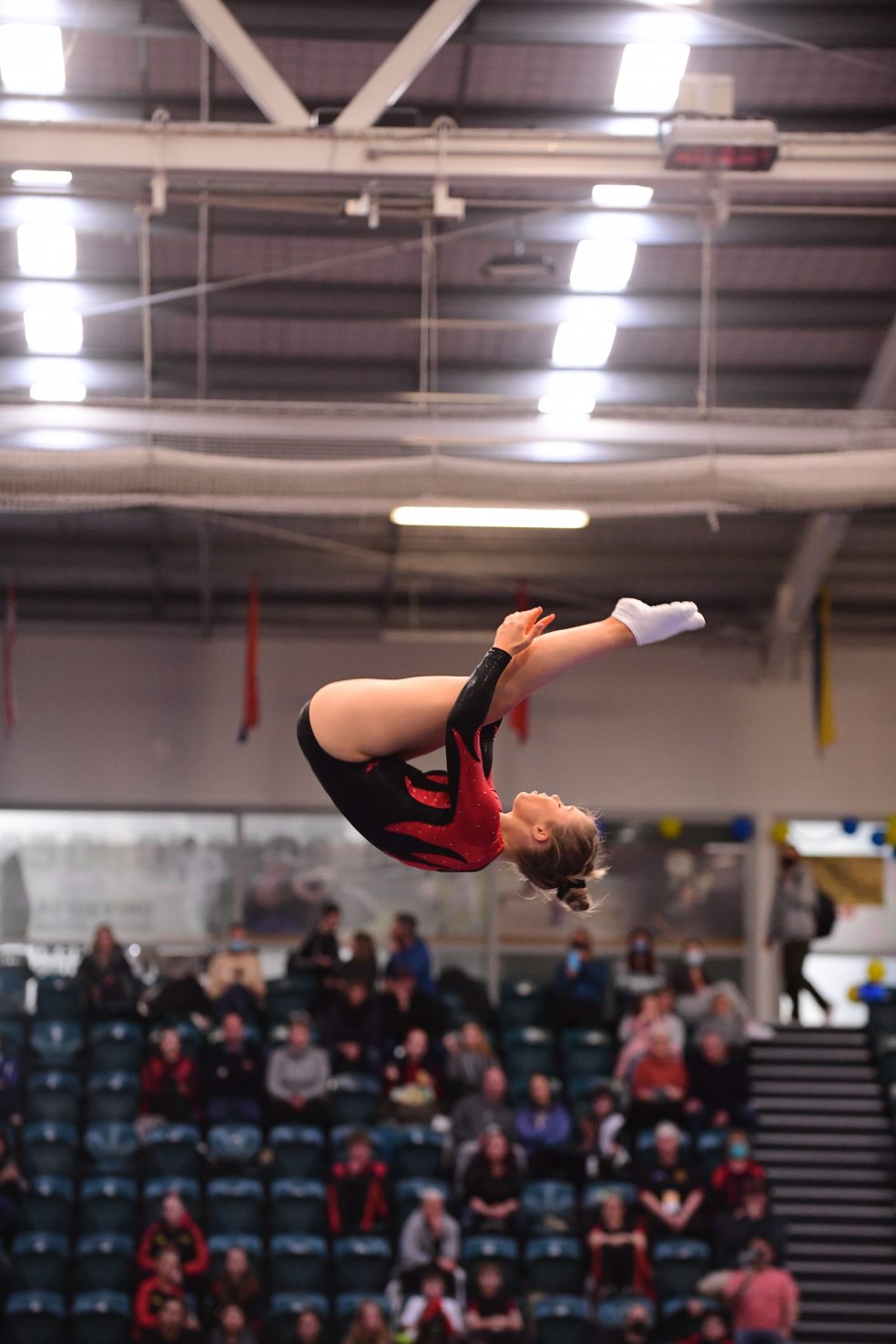 Media release: Gymnastics sees a perfect score and national champions ...